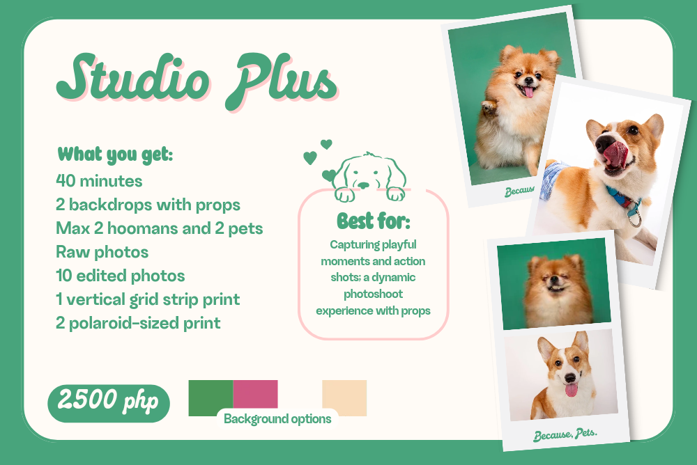 Studio – Because, Pets.