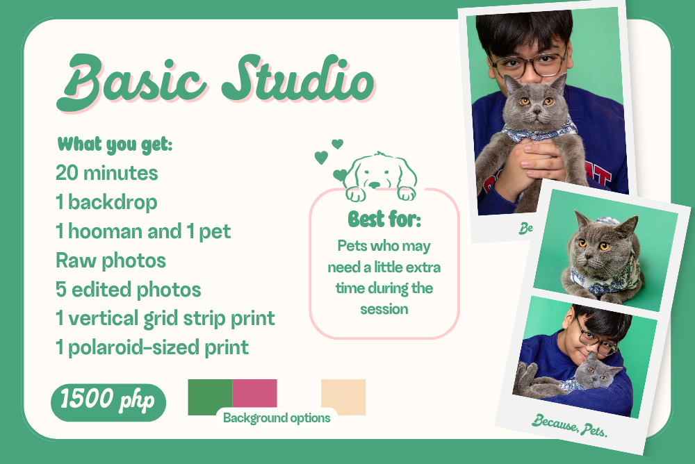 Studio – Because, Pets.