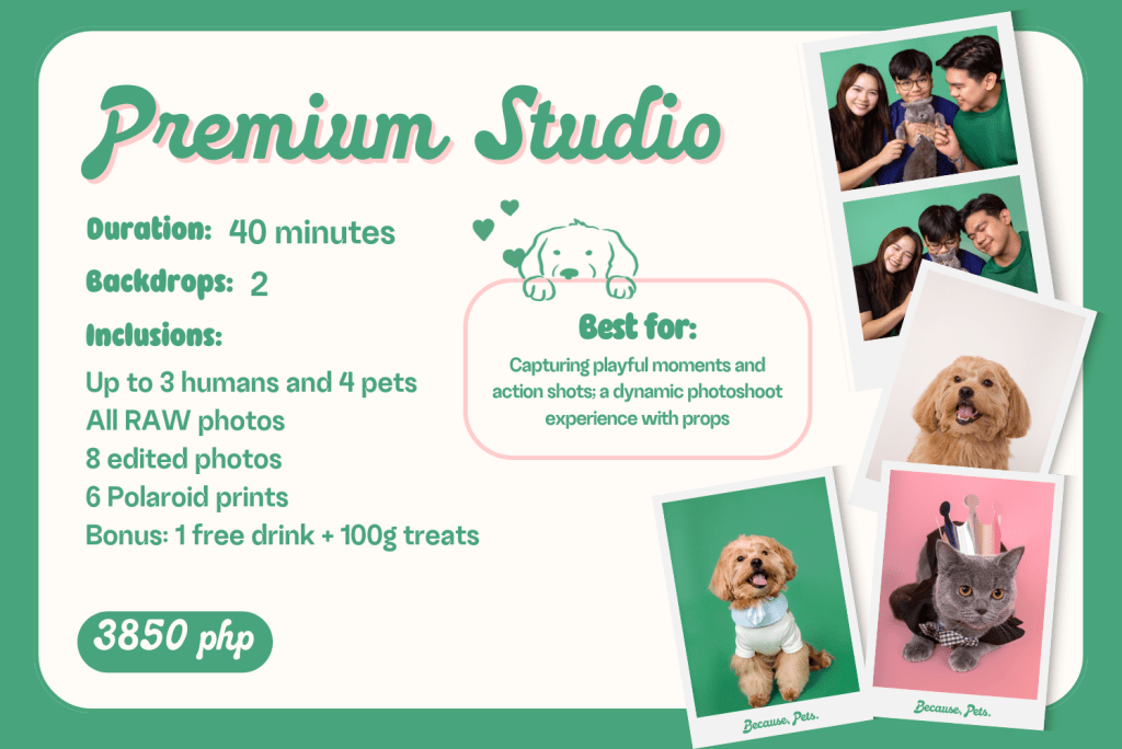 Studio – Because, Pets.